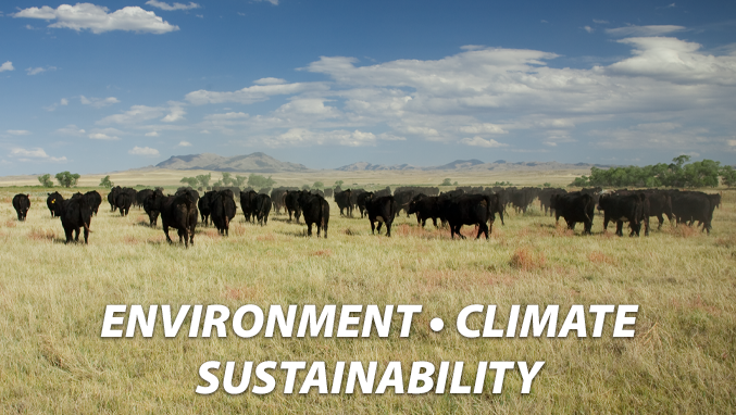 Beef Industry Resources Environment